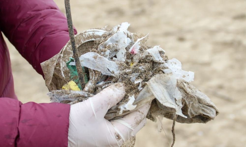 Contaminación: más del 80% de los residuos encontrados en las playas bonaerenses son plásticos ...